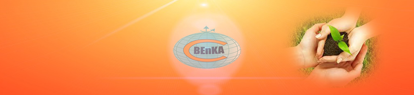 BEnKA Consulting – Strategic Partner for Geospatial Business
